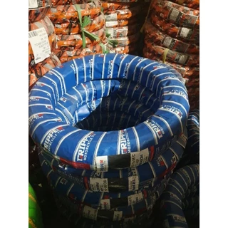 paragon - Best Prices and Online Promos - Jun 2024 | Shopee Philippines