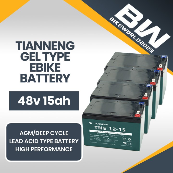 Bikeworld Ebike Battery 48v15ah AGM Gel type SET compatible with Ebike ...