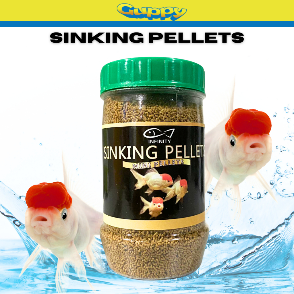 Infinity Sinking Pellets Growth Protein Food 150g High Growth Sinking ...