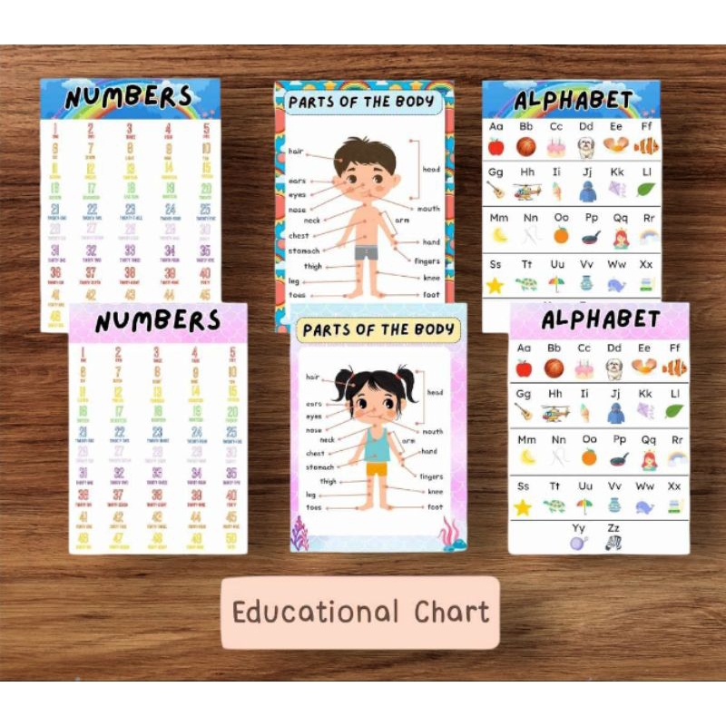 Educational chart A4 size laminated | Shopee Philippines