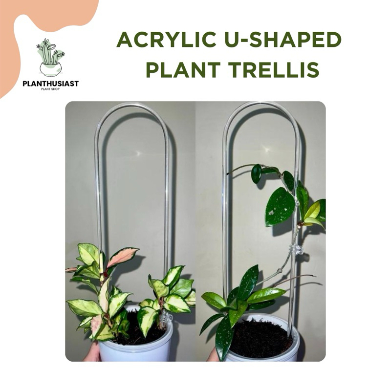 Aesthetic Clear U-shaped Plant Trellis Support | Arch Trellis | Acrylic ...