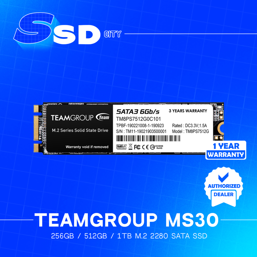 TEAMGROUP MS30 256GB 512GB 1TB M.2 2280 SATA SSD | Shopee Philippines