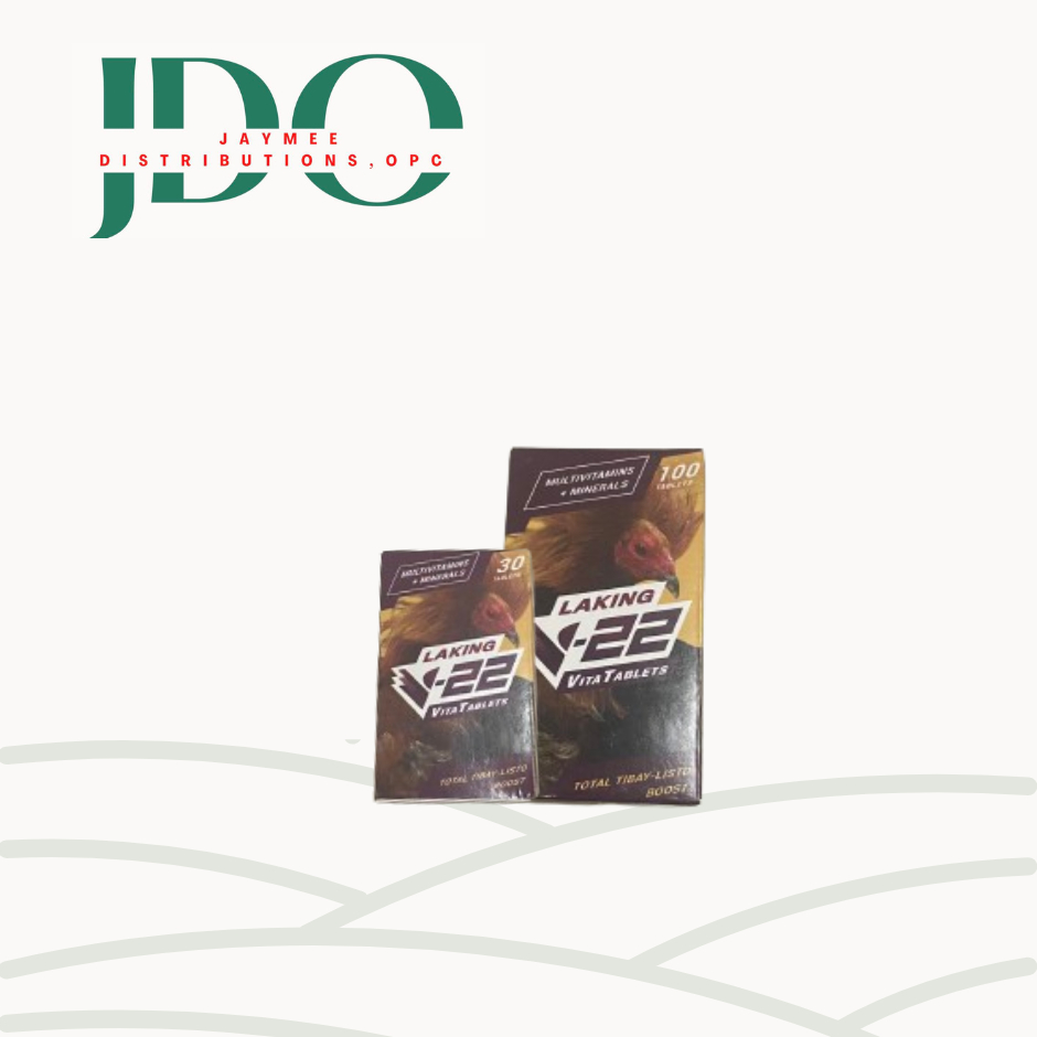 V22 Tablets Multivitamins (30/100 tablets) | Shopee Philippines