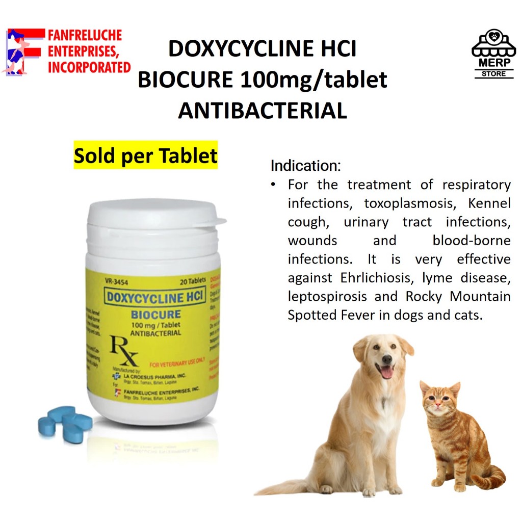 Biocure Doxycycline HCI Tablet 100mg | Shopee Philippines