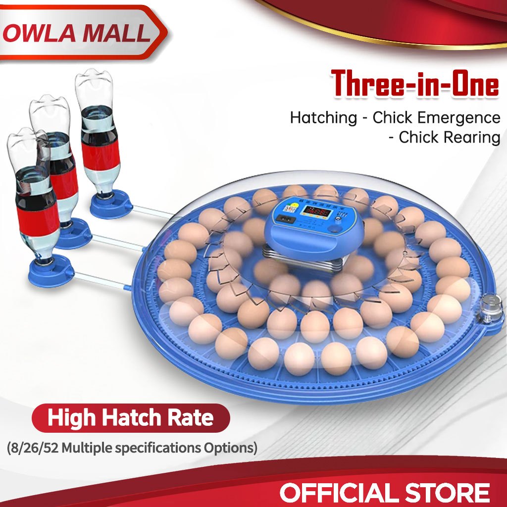 Egg Incubator 56 Eggs Fully Automatic Egg Incubator Intelligent Digital ...