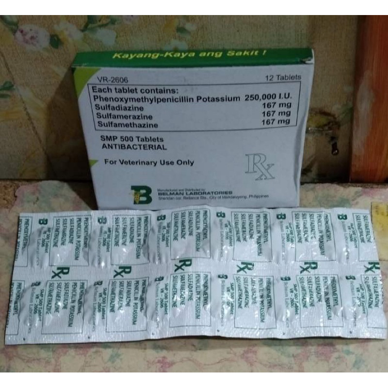 SMP 500 (12 tablets in one box) | Shopee Philippines