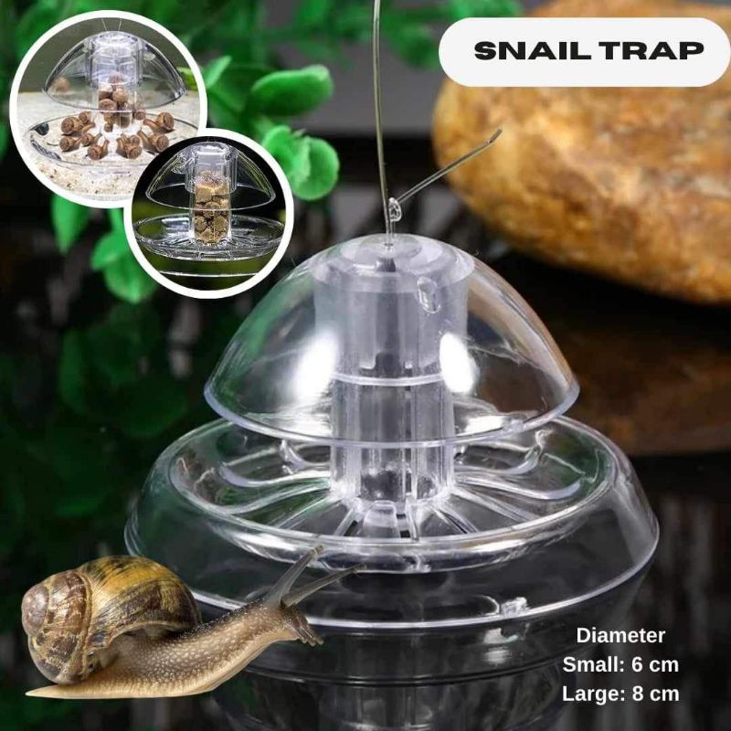 Snail Trap - D6cm / D8cm | Shopee Philippines