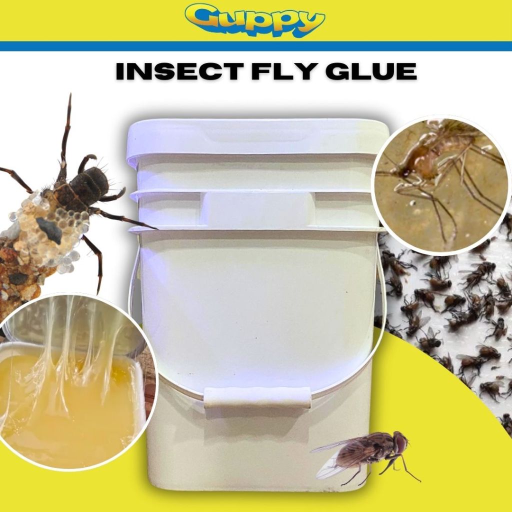 Insect Fly Glue Sticky Fly Trap Insect Catcher 16L Peanut Flavor ...