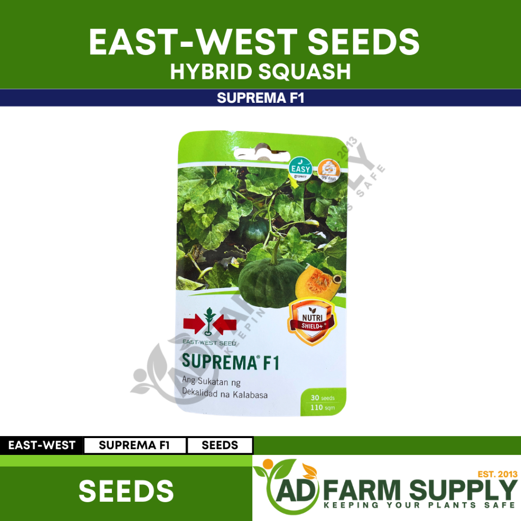 East-West Seeds - Suprema F1 / Hybrid Squash - Packets | Shopee Philippines