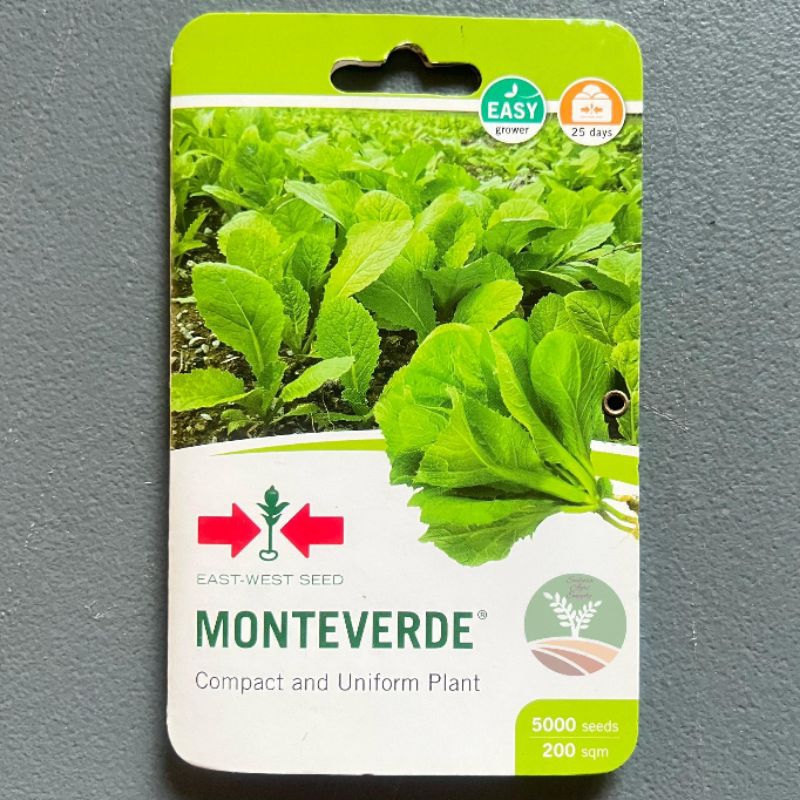 EAST WEST MONTEVERDE MUSTASA SEEDS SEED MUSTARD VEGETABLE SEED GO GROW ...