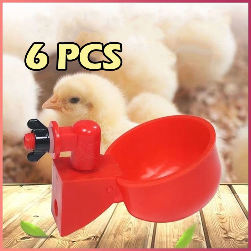 6pcs Chicken Cup Waterer Water Cups Automatic Waterer Bowl Chicken Cup ...
