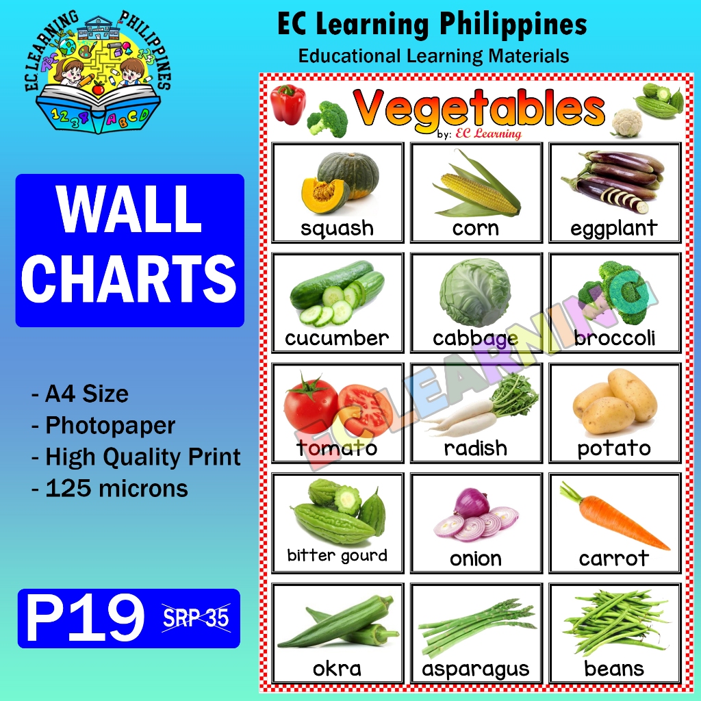 VEGETABLES Laminated Educational Wall chart for kids - EC LEARNING ...