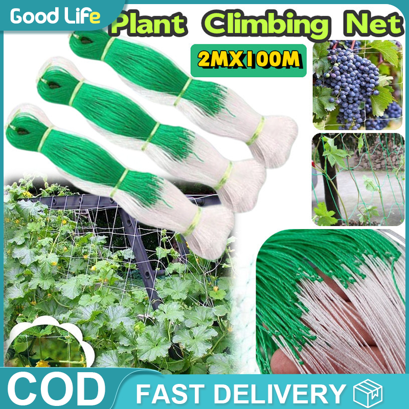 Garden plant climbing net, cucumber vegetable grid net, plant support ...