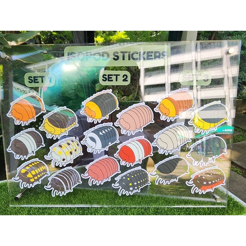 Isopod Stickers for Labelling Enclosure (sold as set or per piece ...