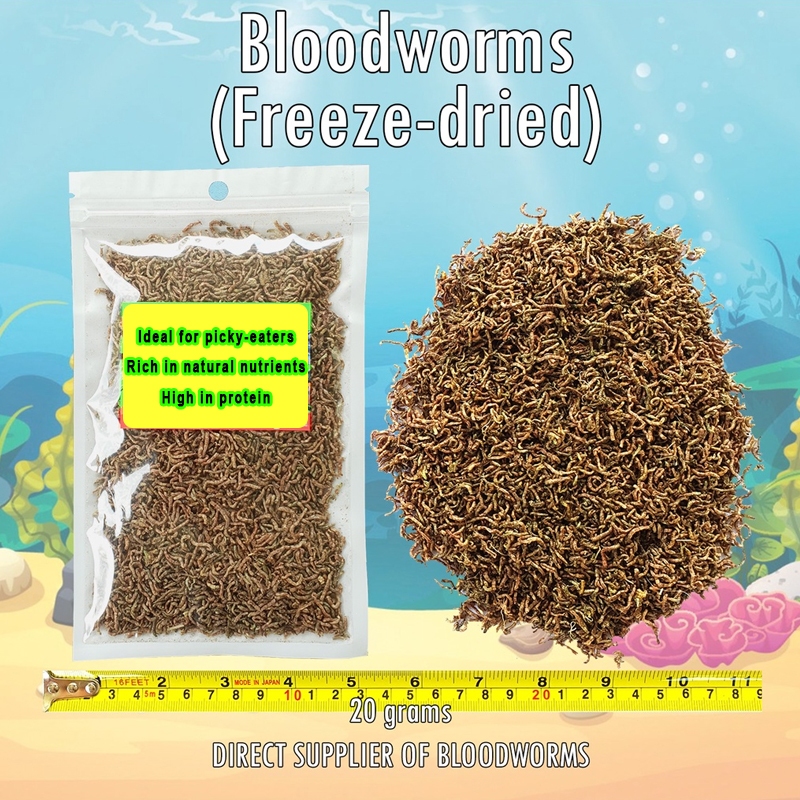 20g/40g/100g Bloodworm Freeze-dried Fish food for guppy betta angelfish ...