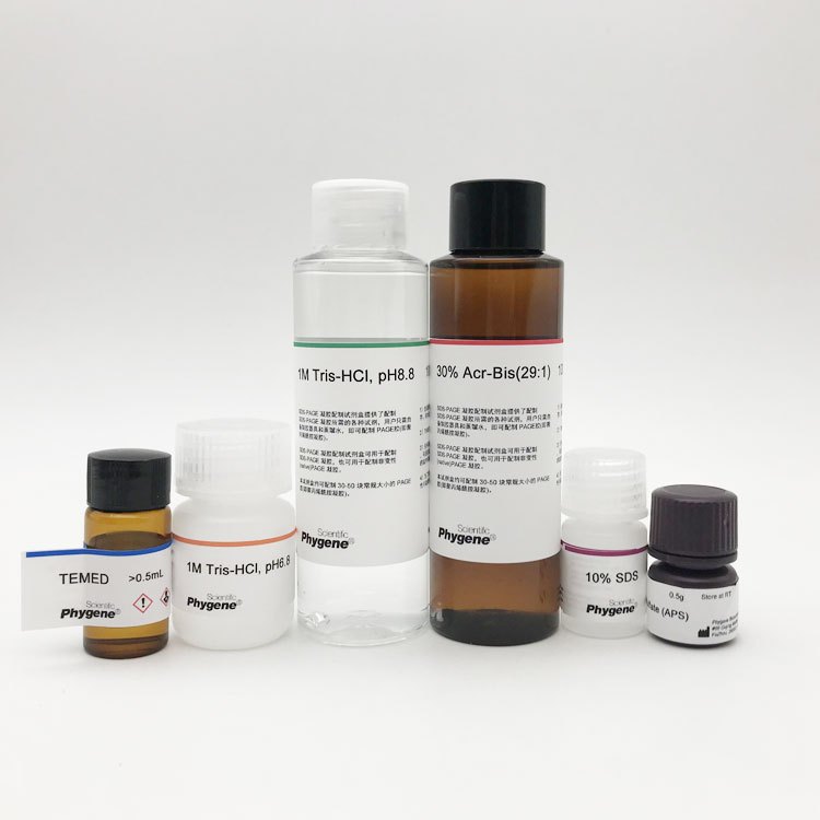 SDS-PAGE Gel Preparation Kit SDS-PAGE Gel Preparation Kit | Shopee ...