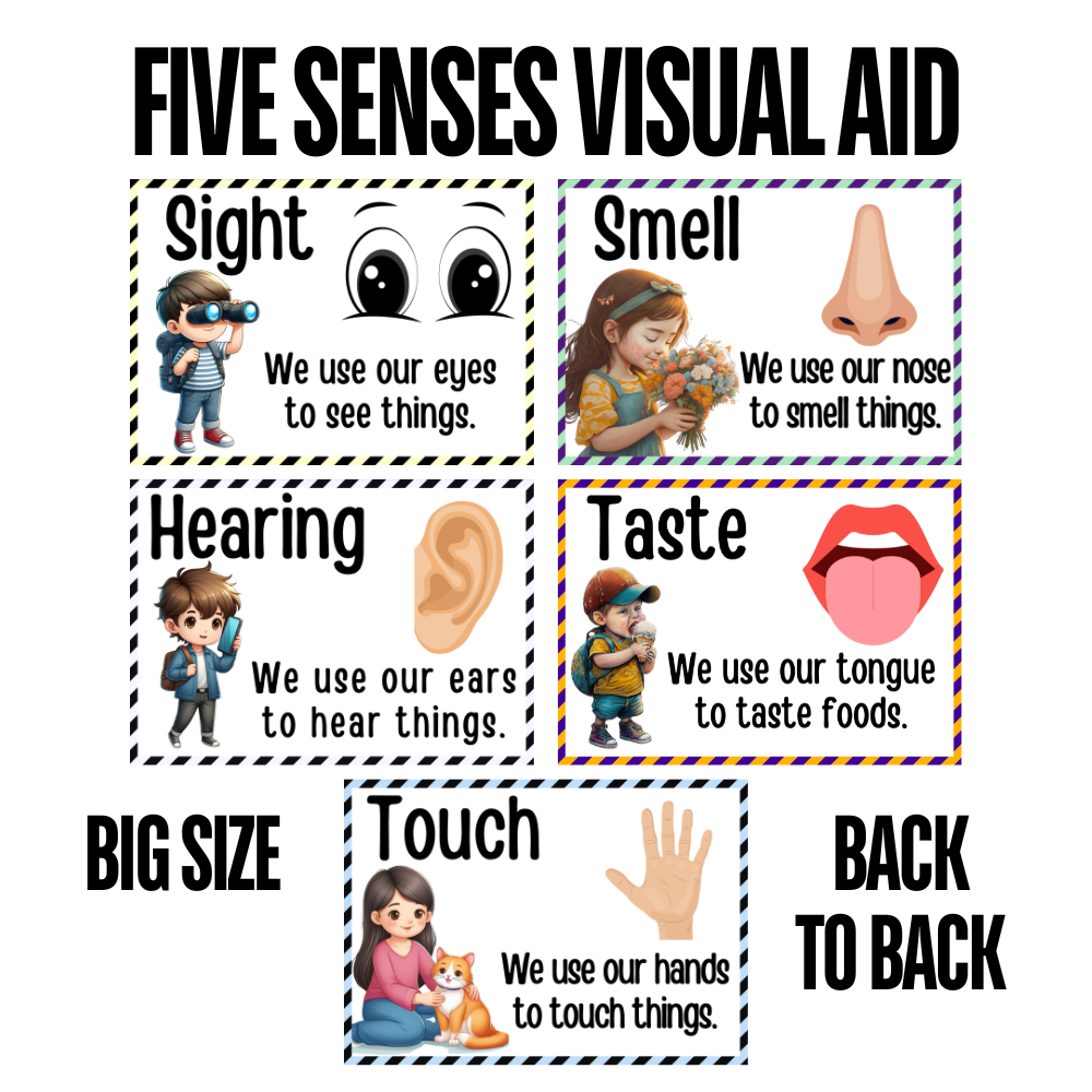 BIG SIZE FIVE SENSES VISUAL AID LAMINATED BACK TO BACK PRINT | Shopee ...