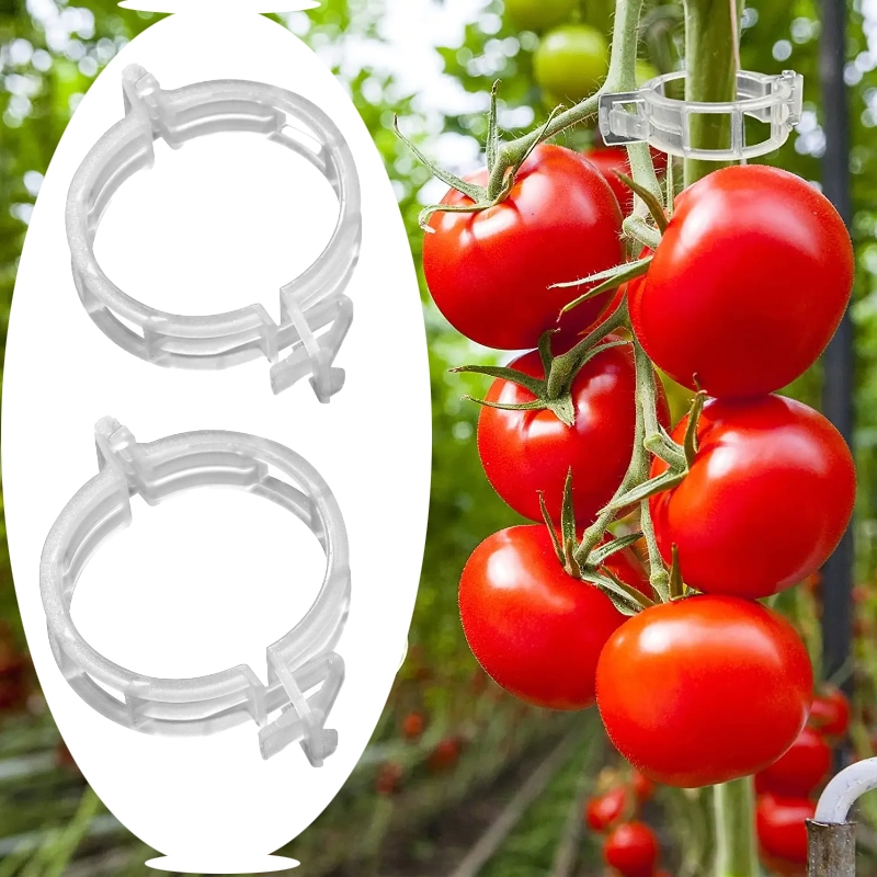 100 Pcs Plant clamp Tomato Clips Plants Vegetable Fastening Clip for ...