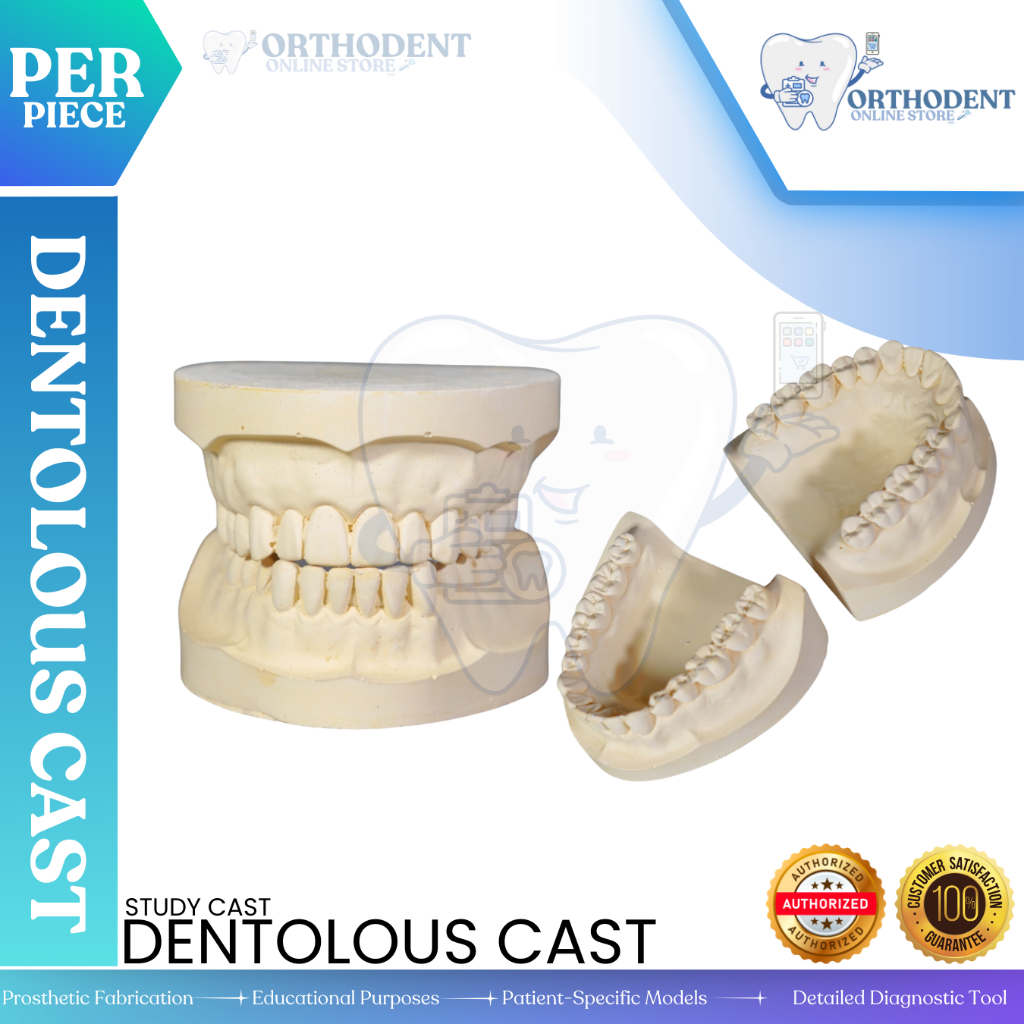 Orthodent |Comprehensive Dentulous and Edentulous Study Casts (Upper ...