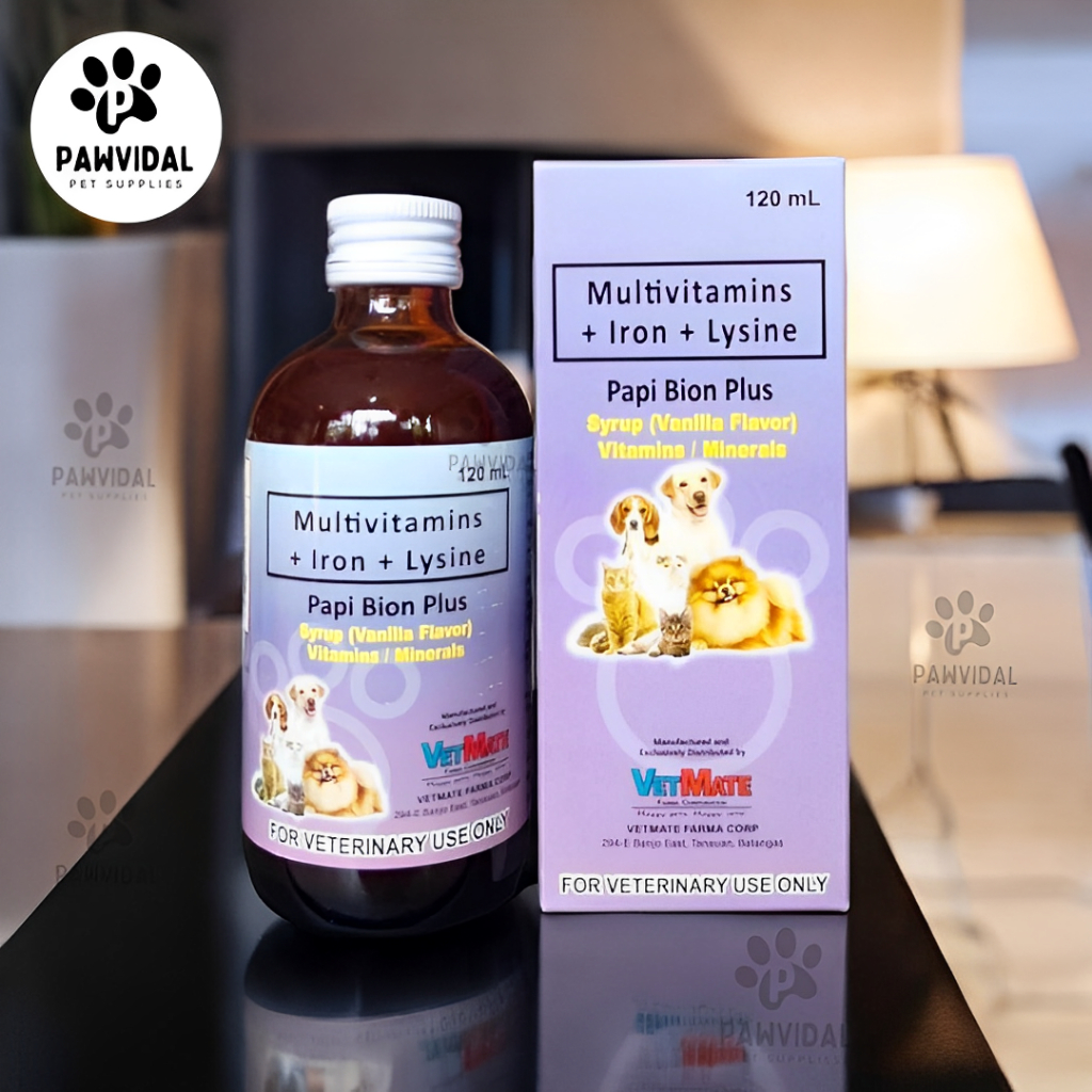 Papi Bion Plus 120ML : Multivitamins + Iron + Lysine | Shopee Philippines