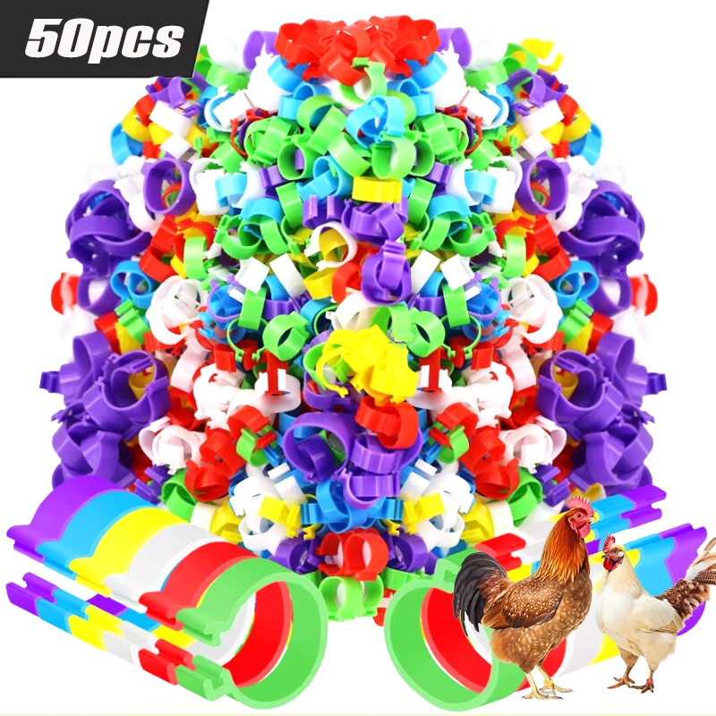 50Pcs Chicken leg band Identification clip ring Poultry leg bands 16mm ...