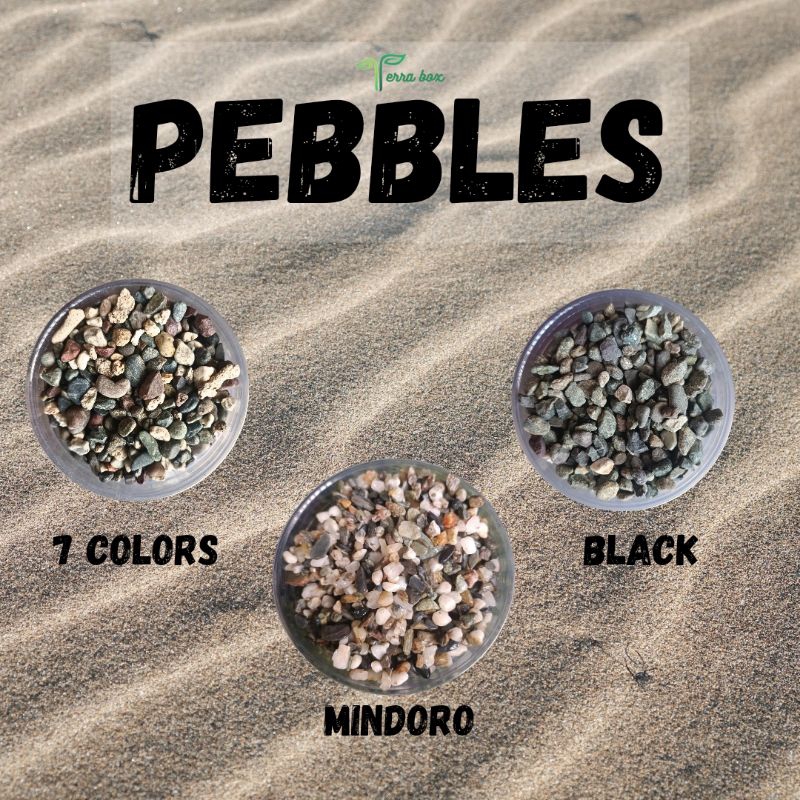 TERRA BOX PEBBLES FOR TERRARIUM AND AQUASCAPE SOLD PER KG | Shopee ...