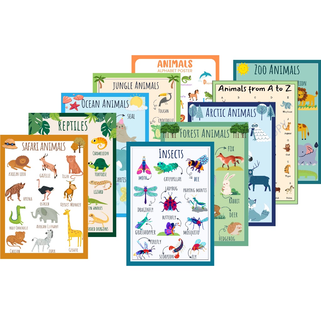 Animals Educational wall charts A4 Laminated for Kids Learning | Shopee ...