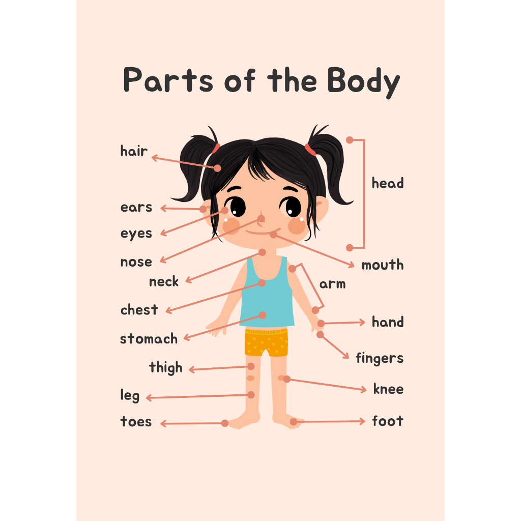 Parts of the Body/Educational Chart for kids/Wall decor/Laminated A4 ...