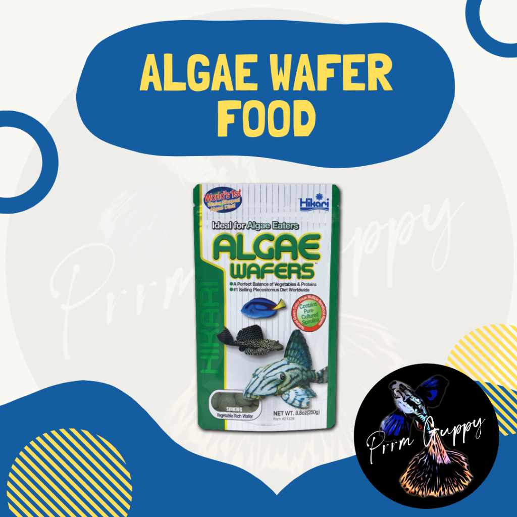 HIKARI Algae Wafers Fish Food (PRRM GUPPY) | Shopee Philippines