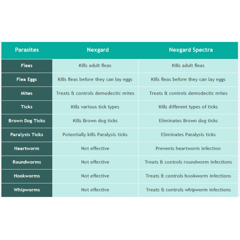 Nexgard Spectra Anti Tick & Flea with Sticker for Dogs Sold per Tablet ...