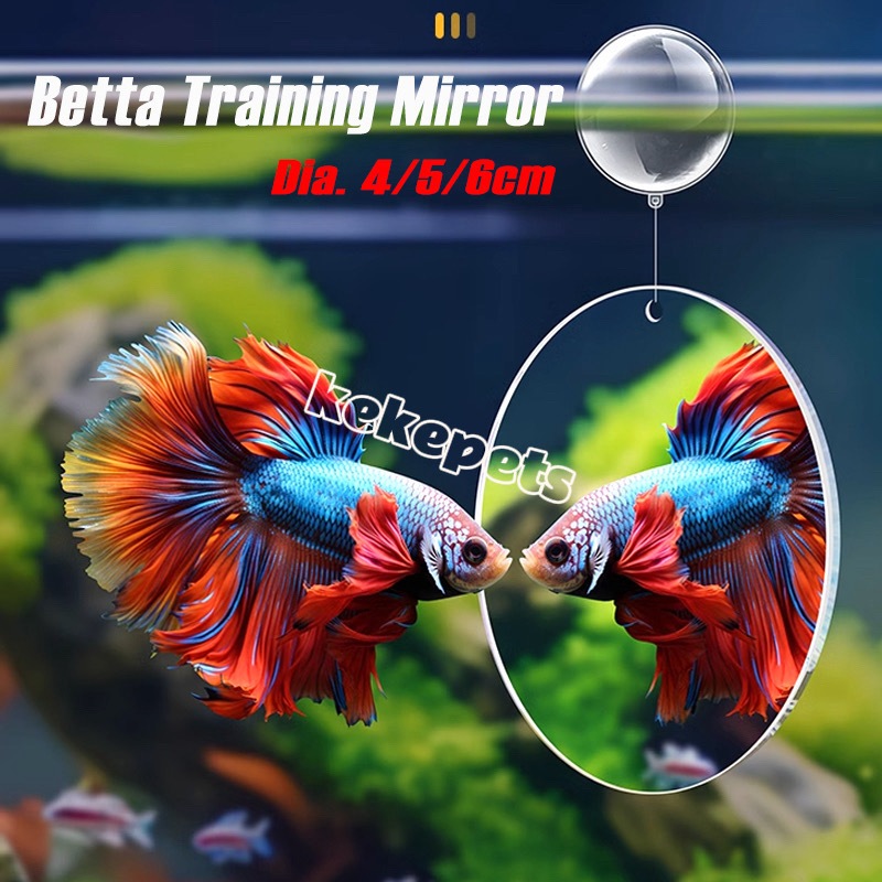 4/5/6cm Aquarium Betta training mirror Acrylic hang-on floating Double ...