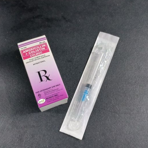 Colmoc (Amoxicillin + Colistin) Antibacterial for Pets 60ML with Free ...