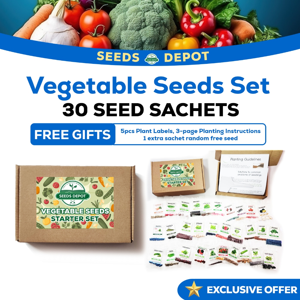 Vegetable Seeds Starter Set - Herbs, Leafy Vegetables, Eggplants ...