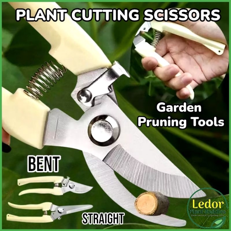 Garden Pruning Plant Scissor Gardening Branch pruner Hand tool Shears ...