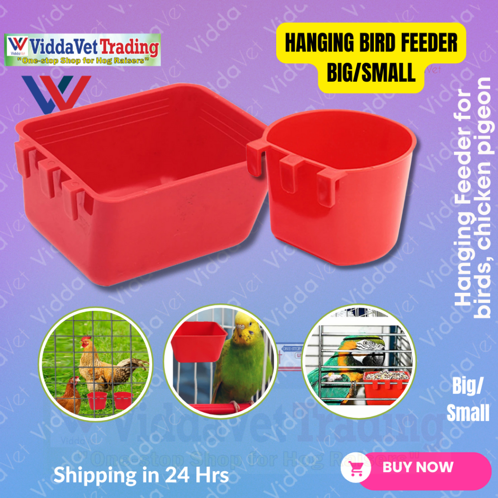 Quality Hanging Feeder for Birds Chicken Pigeon birds feeder cups ...