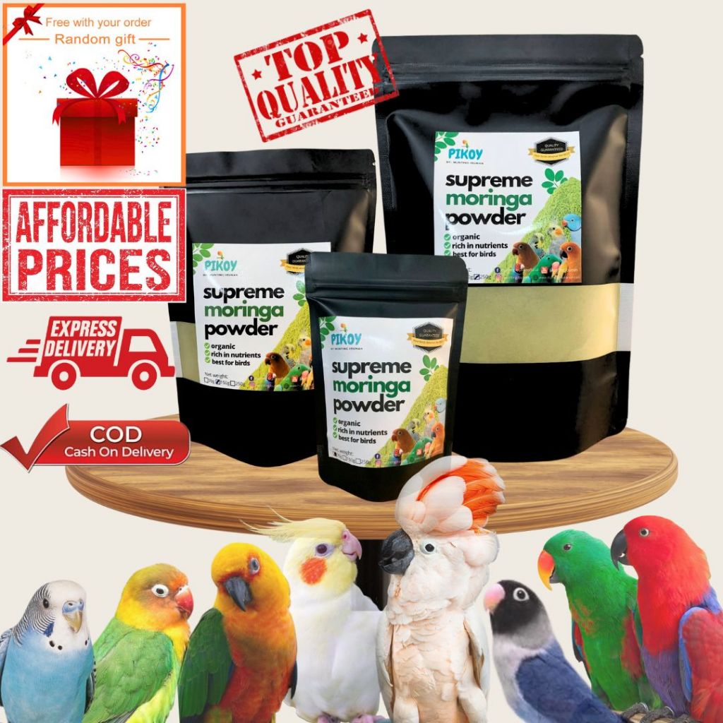 PIKOY Moringa / Malunggay Powder for Birds and Parrots, Organic All ...