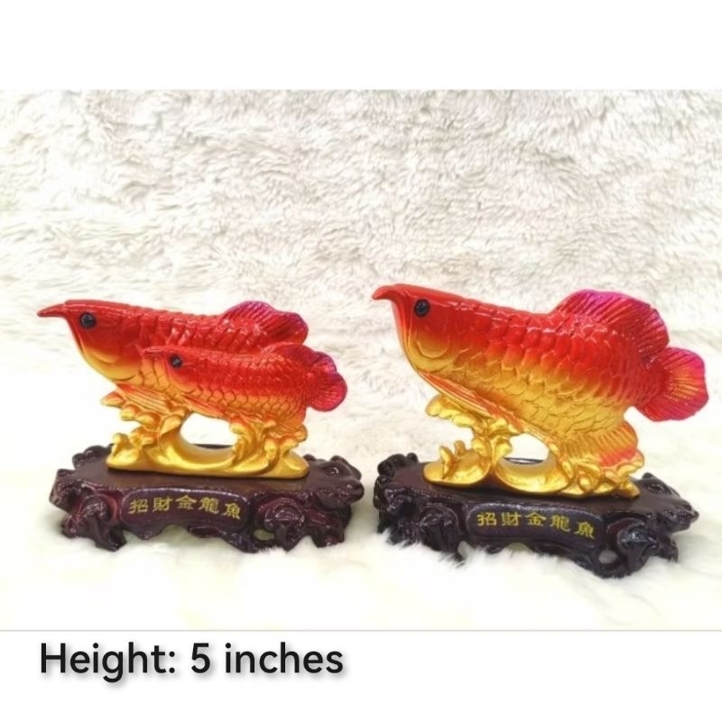 Arowana Fengshui Display | Shopee Philippines