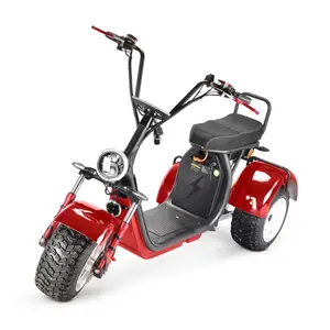cheap big wheel electric scooters adult citycoco 2000w 3 wheel fat tire ...