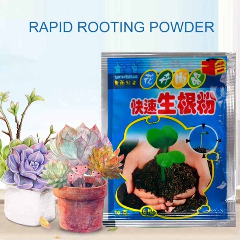 Rapid Rooting Powder/Plant Growth Powder for Green plants flowers fruit ...