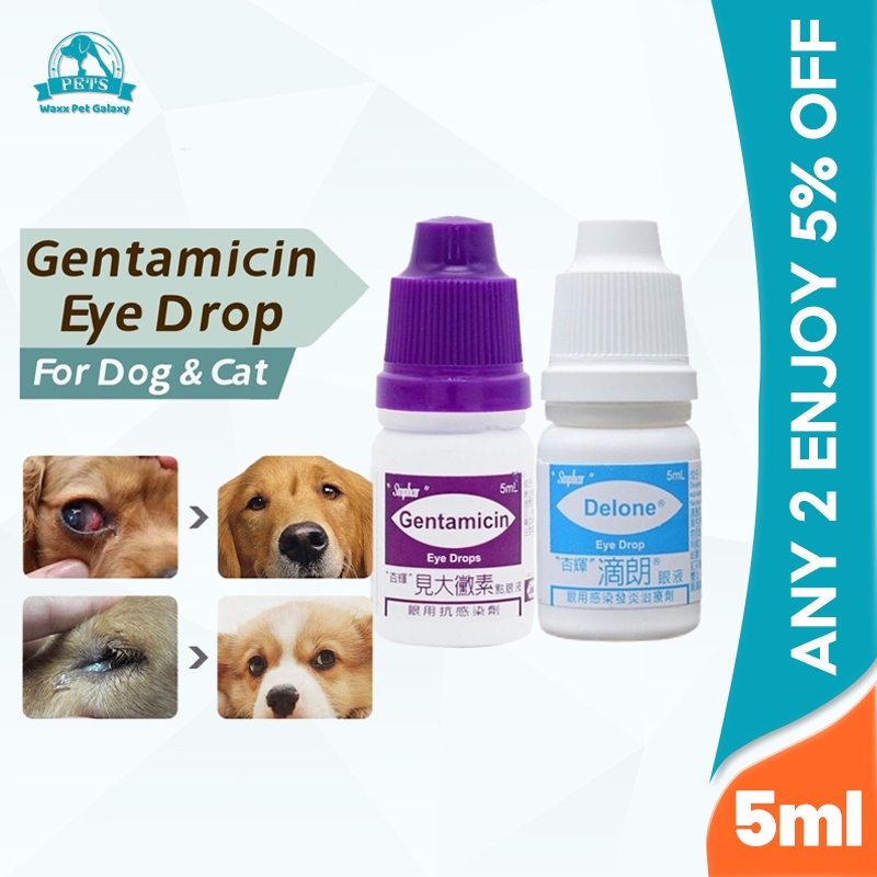 5ML Pet Eye Drops Gentamicin Eye Drops for Cats Dogs Remove Tear Stains ...