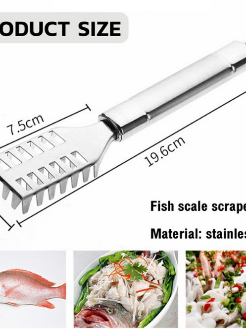 Fish scale remover Stainless Steel Fish Scale Remover Cleaner Scraper ...
