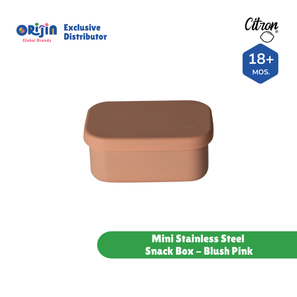Citron - Mini Stainless Steel Snack Box | Shopee Philippines