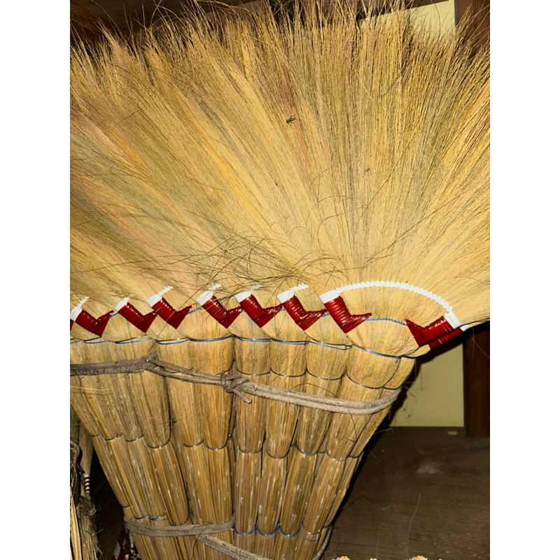 Baguio Solas Bagong Walis | Shopee Philippines