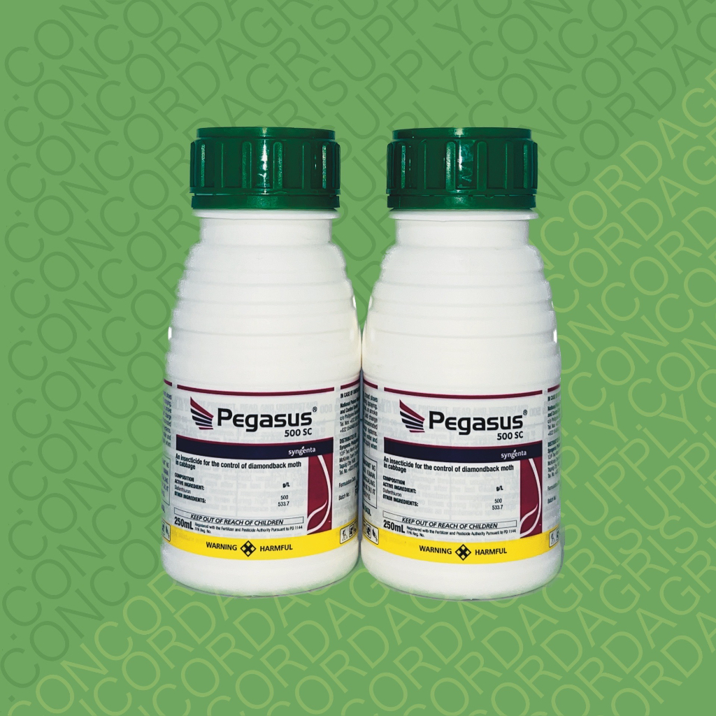 Pegasus 250mL(small size) | Shopee Philippines