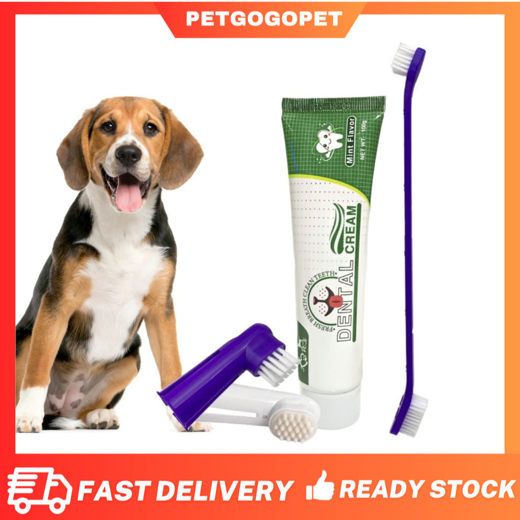Pet Dogs & Cats Dental Care Toothpaste(Vanilla Flavor) | Shopee Philippines