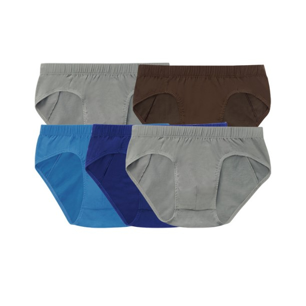 Avon Andre 5-in-1 Hipster Brief Pack | Shopee Philippines