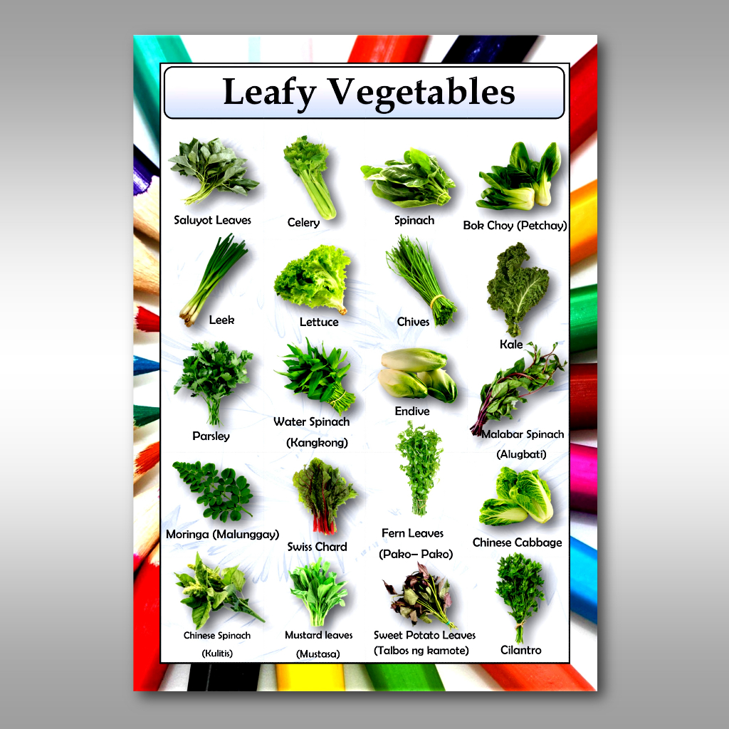 Leafy vegetables educational chart laminated wall chart | Shopee ...