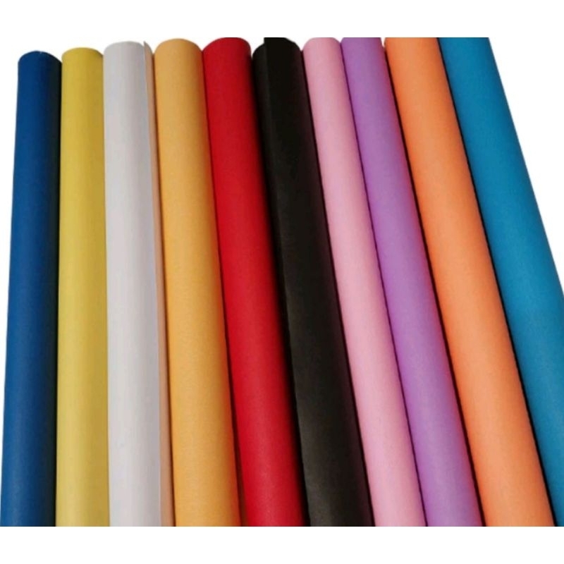 Cartolina, Colored & White (19×22inches)5pcs & 10pcs per Pack | Shopee ...