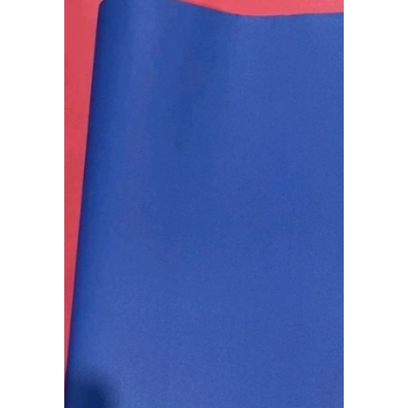 Cartolina, Colored & White (19×22inches)5pcs & 10pcs per Pack | Shopee ...