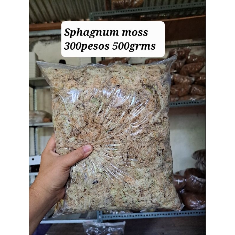 Sphagnum Moss / white moss 1/2 kilo good for gardening | Shopee Philippines